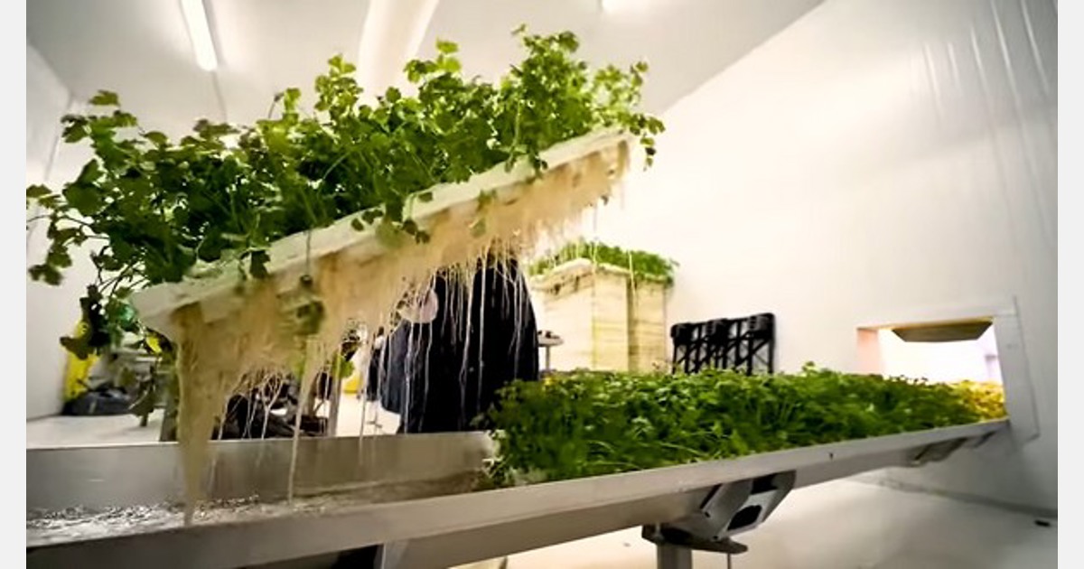 Local Bounti secures up to $145M of additional financing