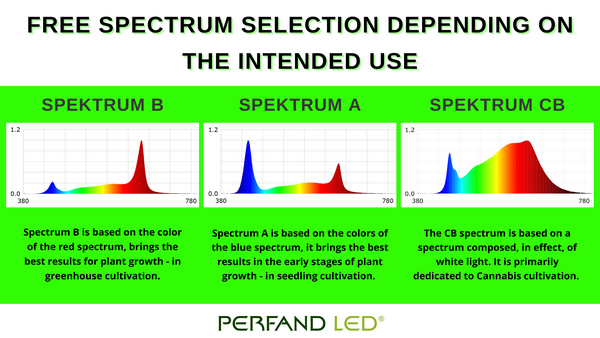 A more natural form of artificial lighting with an LED pulse technology ...