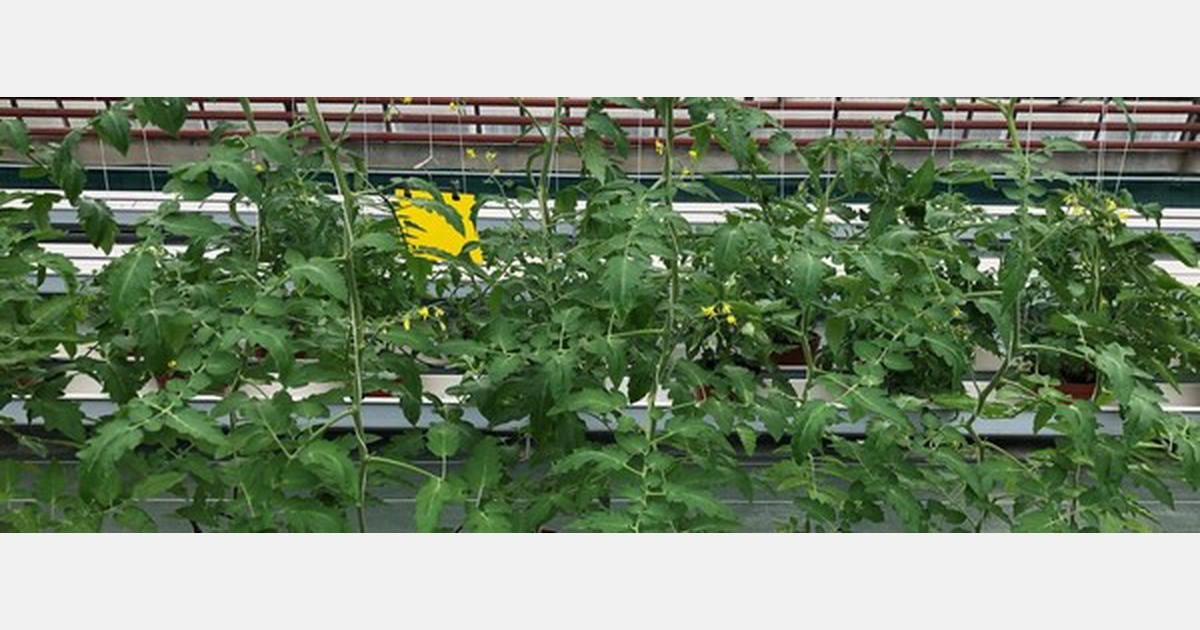 Copying nature to resist viruses