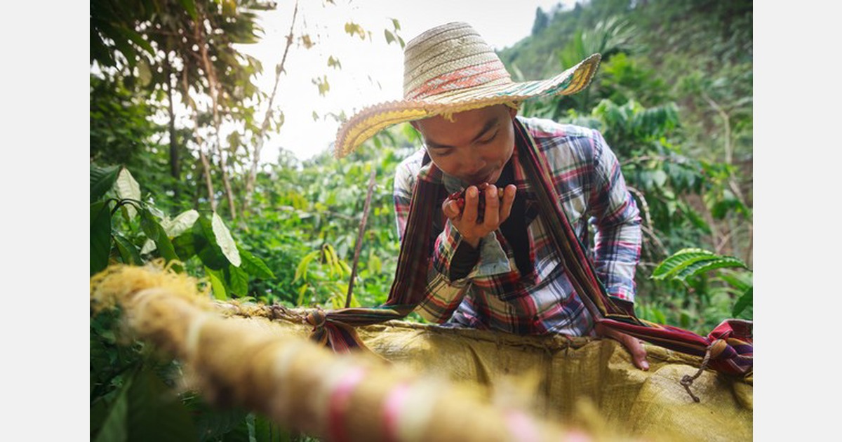 Ferm O Feed and Plant Health Cure merge to continue operations as Den Ouden GrowSolutions