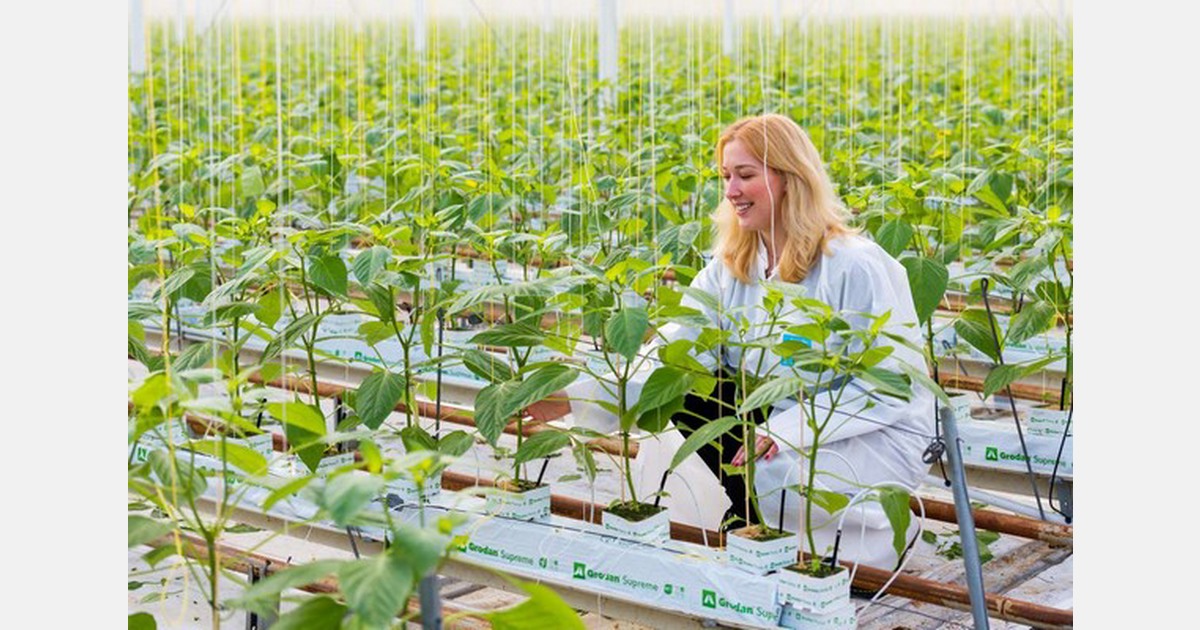 Extending lifespan of substrate while improving plant growth and lower ...