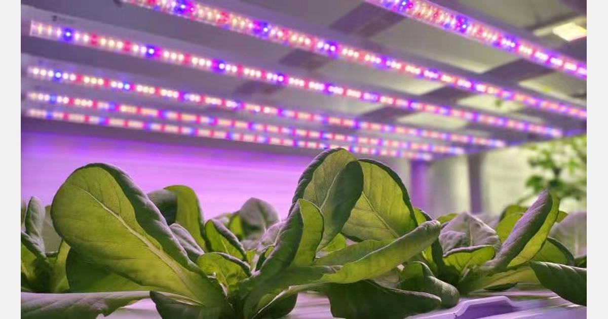 Can the LED grow light market recover its growth trajectory?