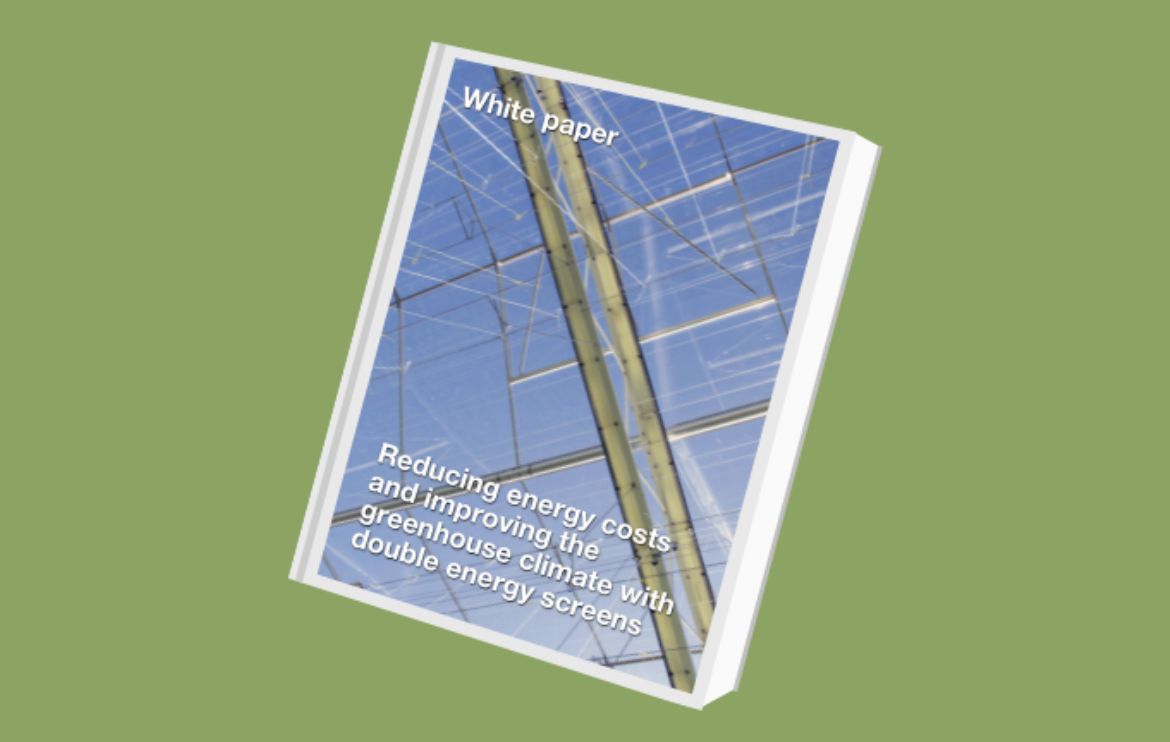 The advantages of double energy screens