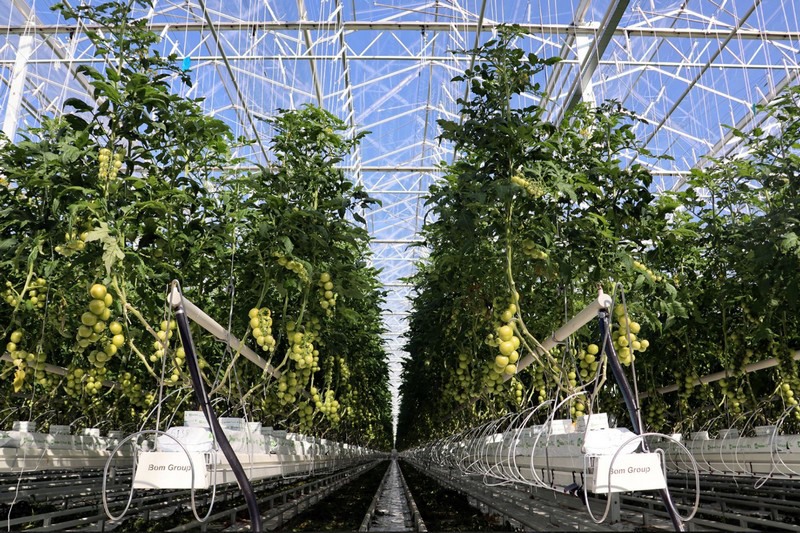 "Four departments minimize risk of cross-contamination"