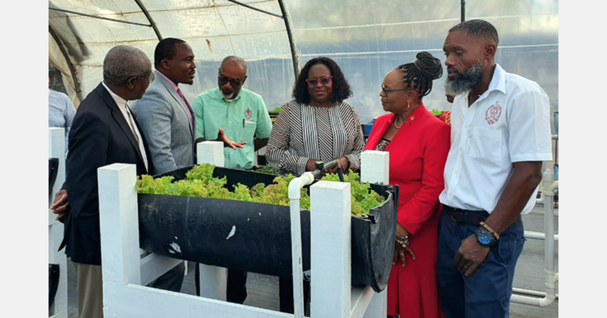 Barbados: Harrison College to make money from reopened greenhouse