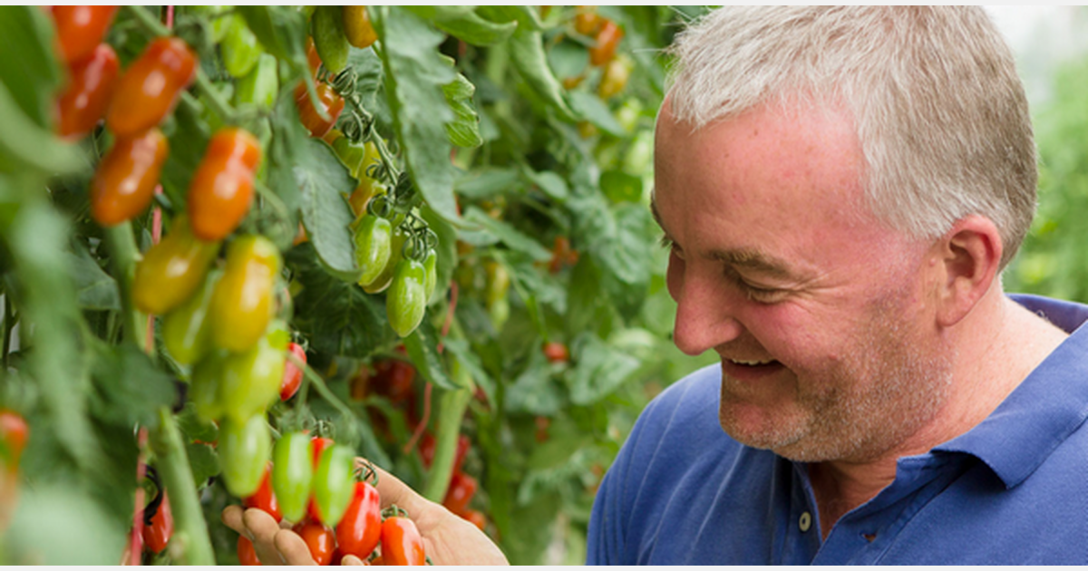 IE: "Growers need greater support"