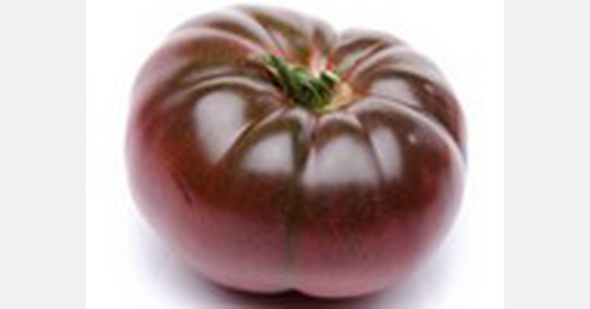 How do blue tomatoes get their color and what do they taste like?