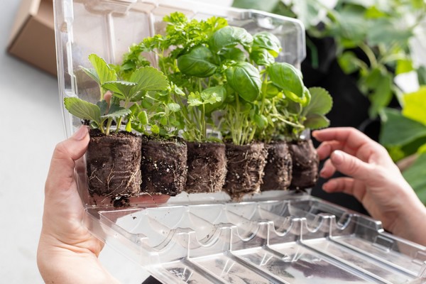 Plantables celebrates 5 year anniversary