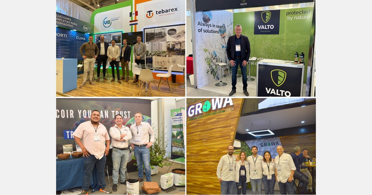 Challenges and opportunities in Mexico: an overview