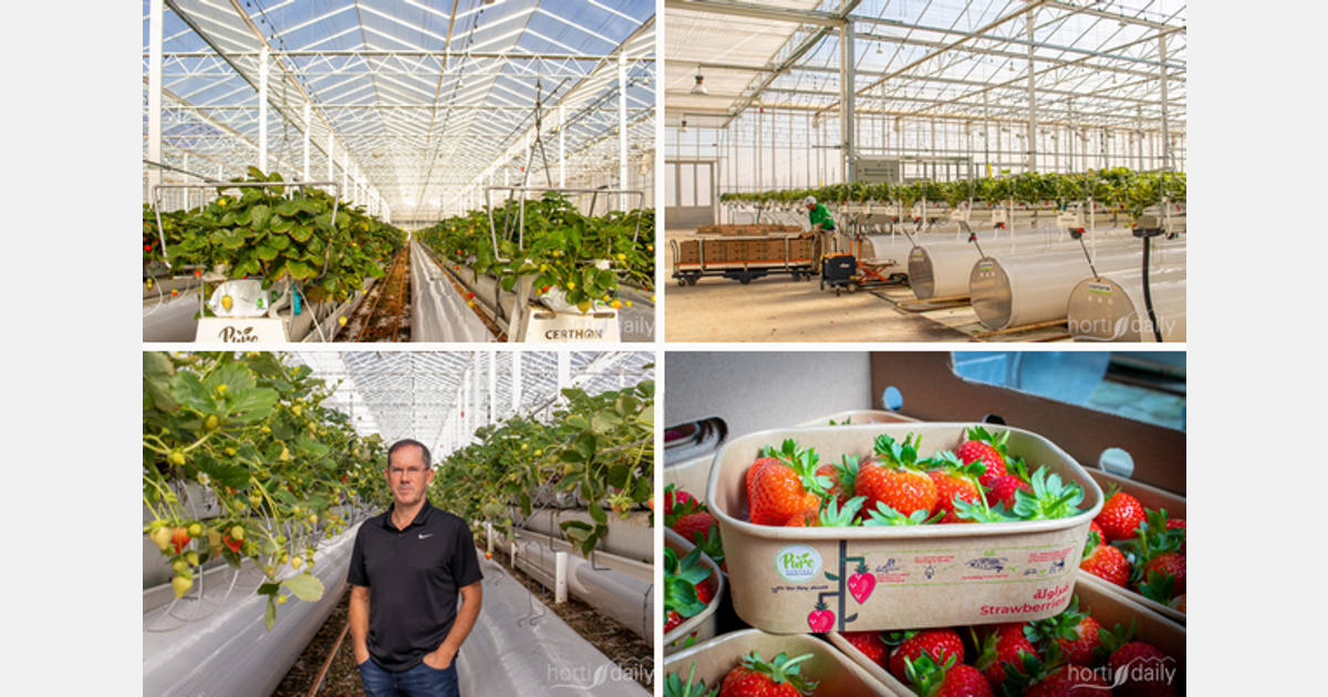 UAE: Tapping into fruiting crops and adding new facilities throughout ...