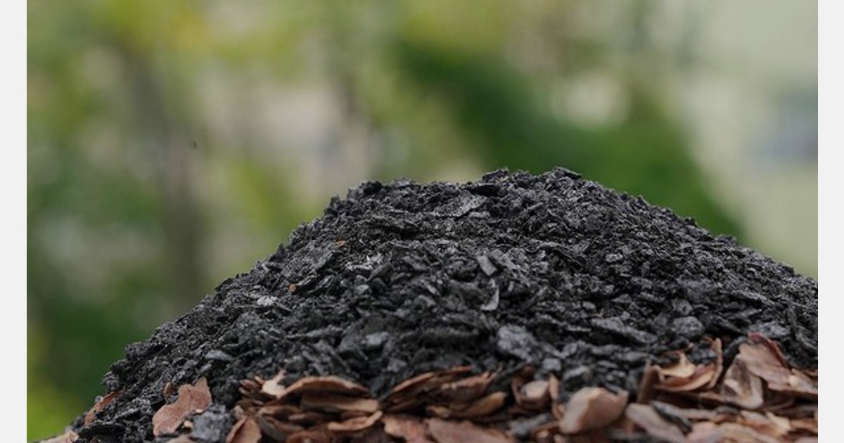Circular Carbon produces fully certified biochar from cocoa shells for ...