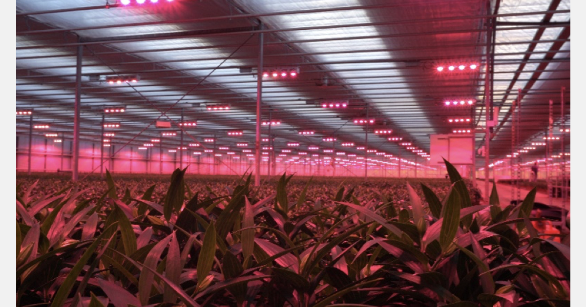 "Amazing to see what we can learn from plants if we can read them in ...