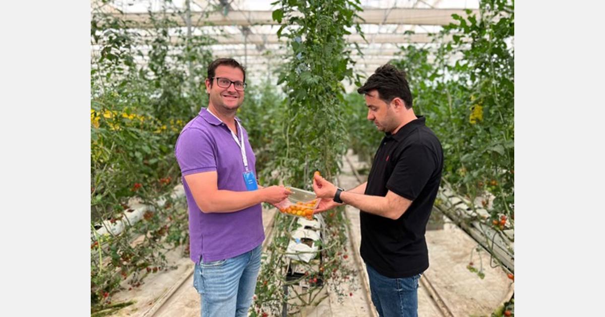 "Greenhouses are often over-dimensioned on equipment"