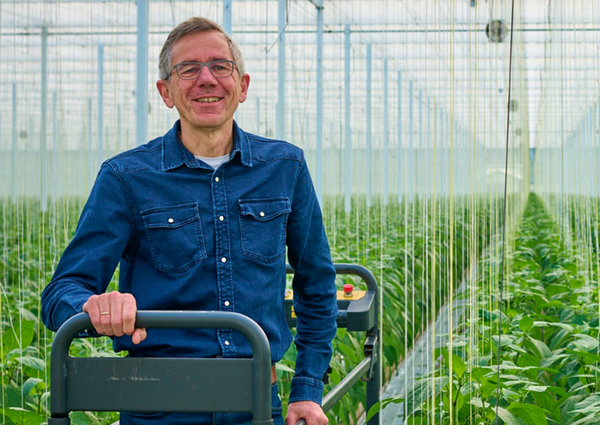 Boost energy savings with low-emission glass