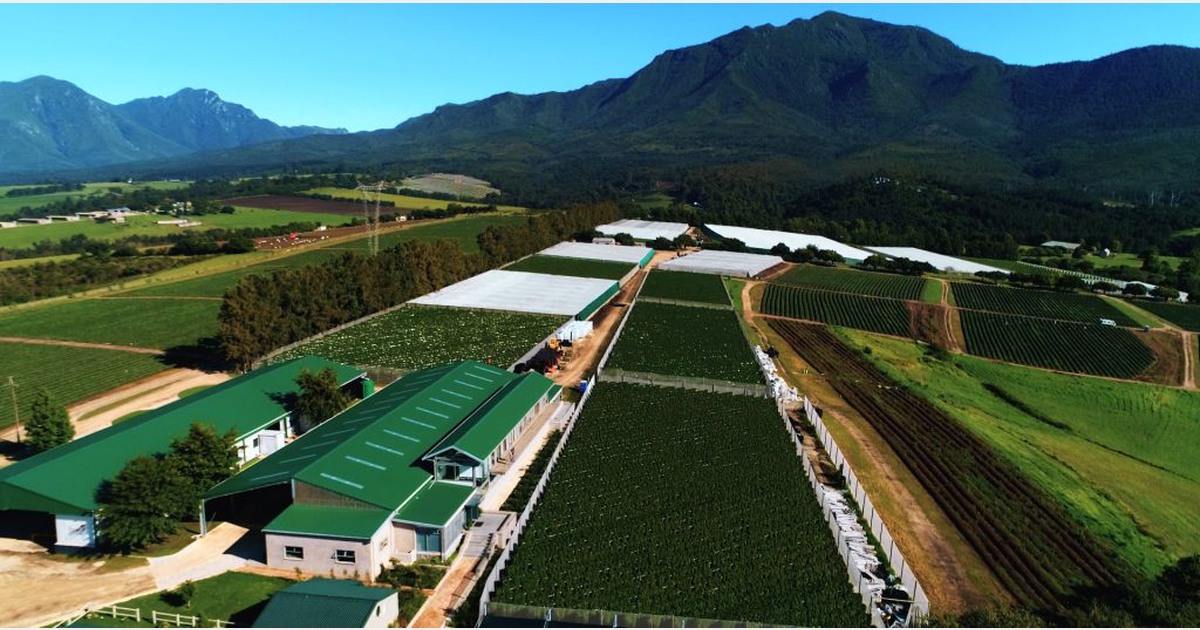 “1,5 million plants saved”