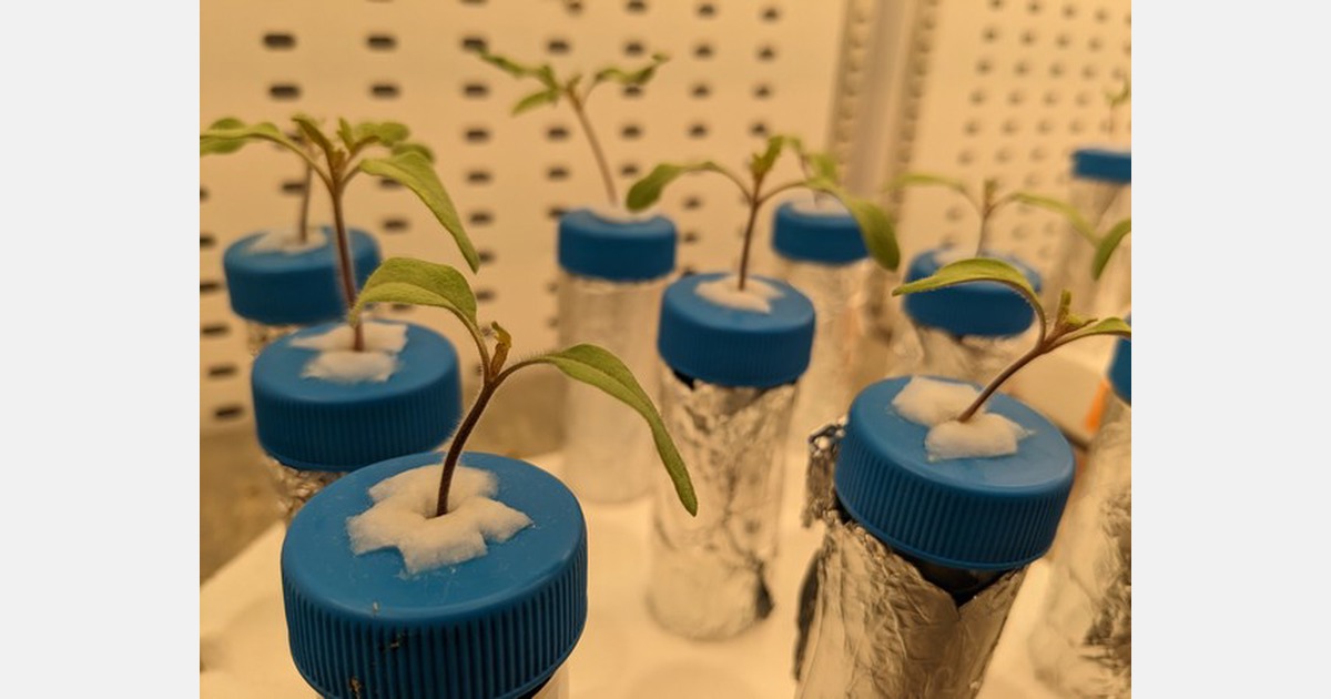 Nanocarrier research taps technology in Ag Alumni Seed Phenotyping Facility