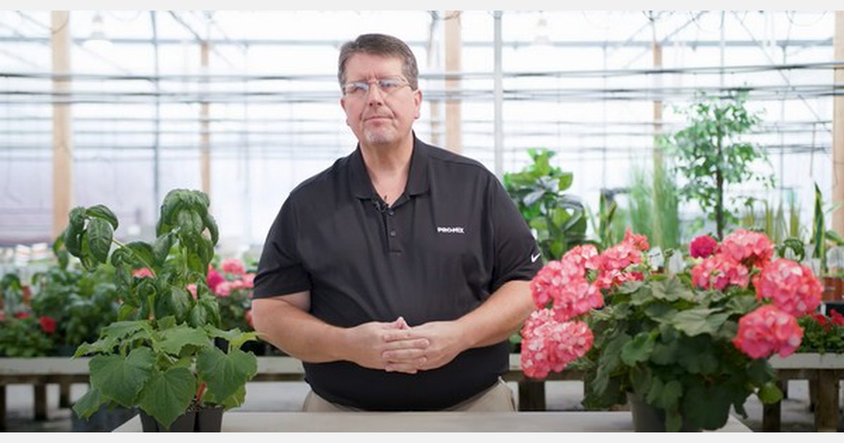 What unique benefits do plants get from biofungicide and mycorrhizae?