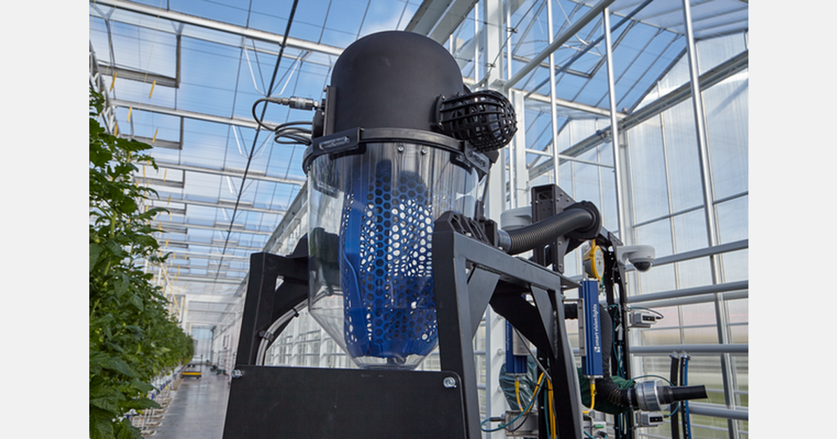 New robot uses vacuum system to harvest tomatoes