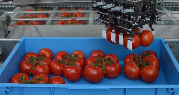 Smart robots to make a salad