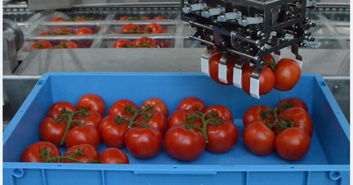 Smart robots to make a salad