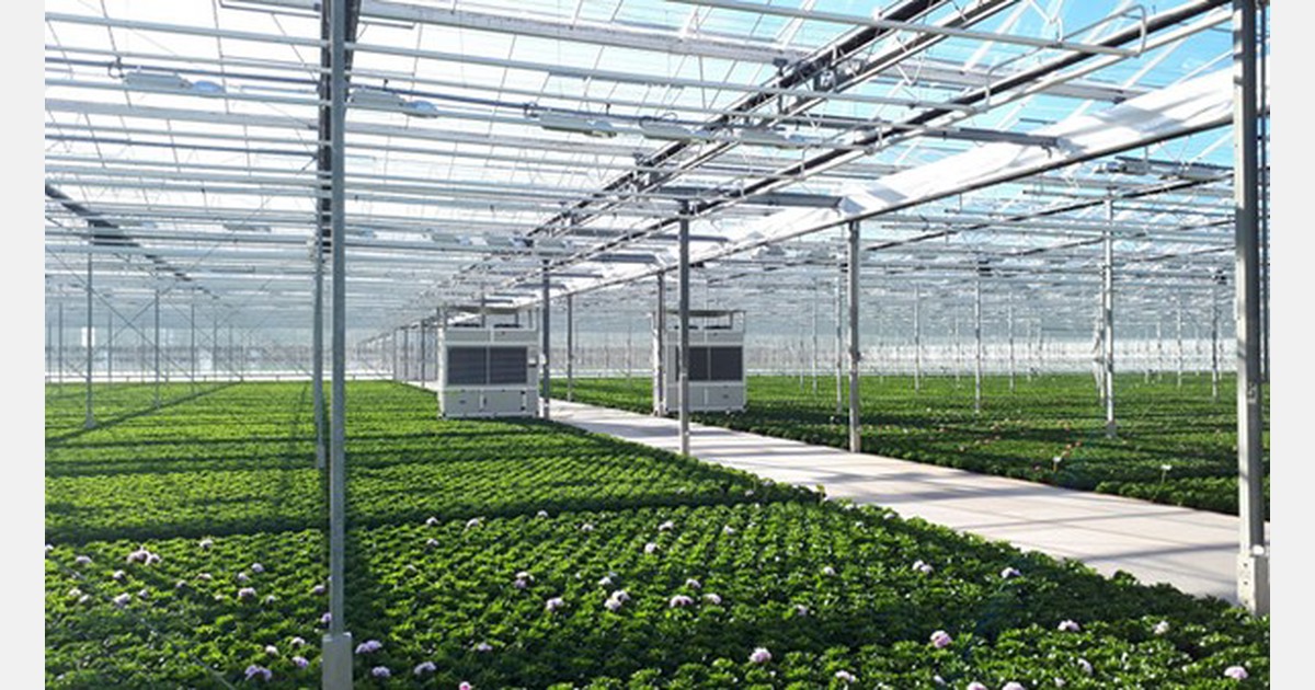 Book a tour of a Dutch greenhouse during the GreenTech 2023