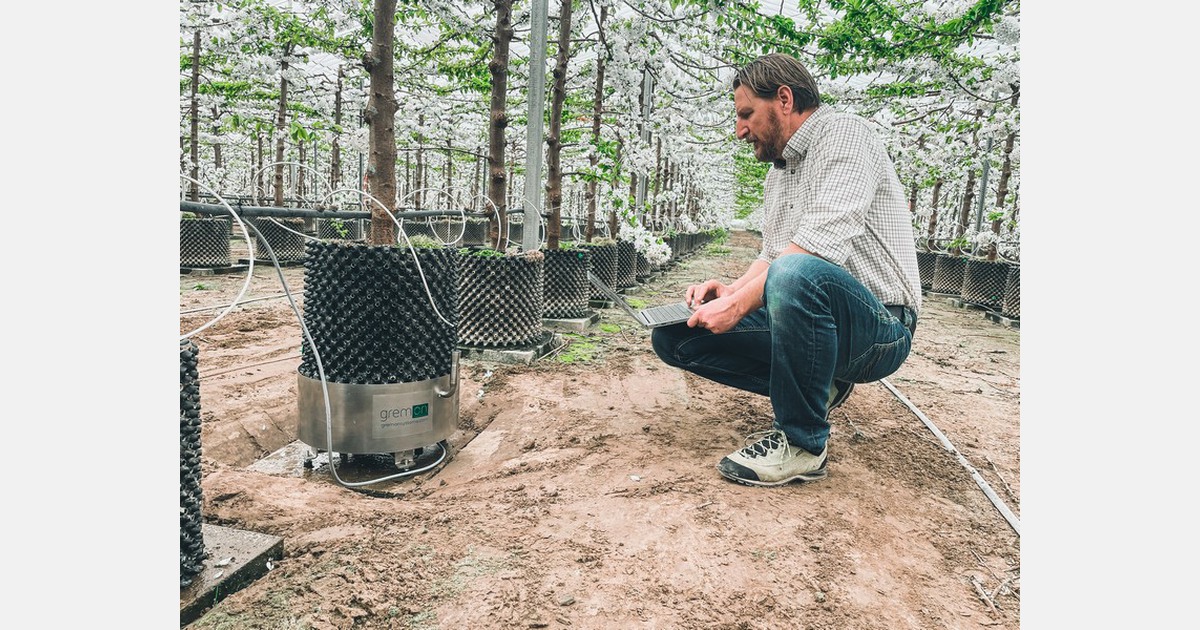 Smart monitoring system behind success of cherry greenhouse