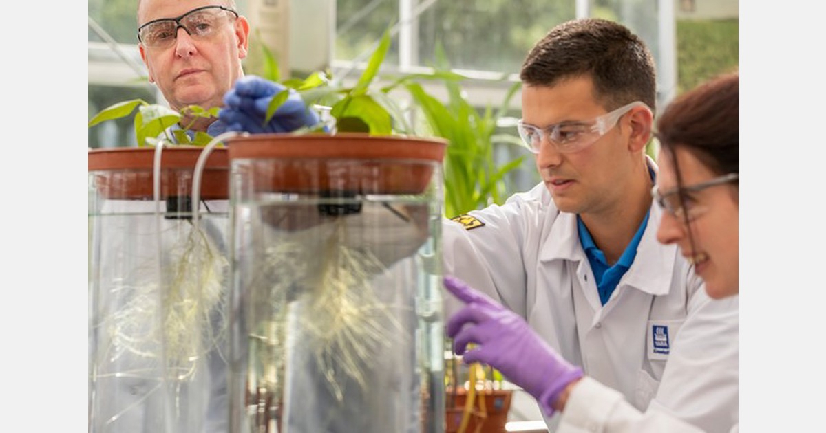 Yara to build new plant for specialty fertilizers and biostimulants