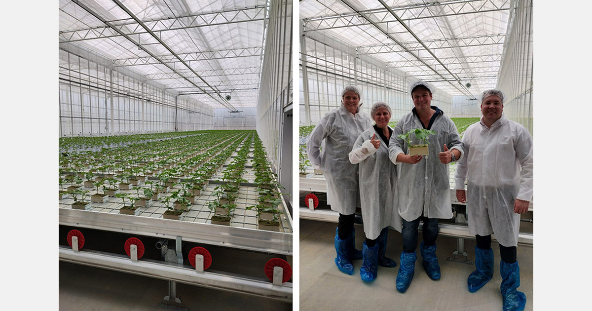 "New facility designed with optimum healing for grafted plants in mind"