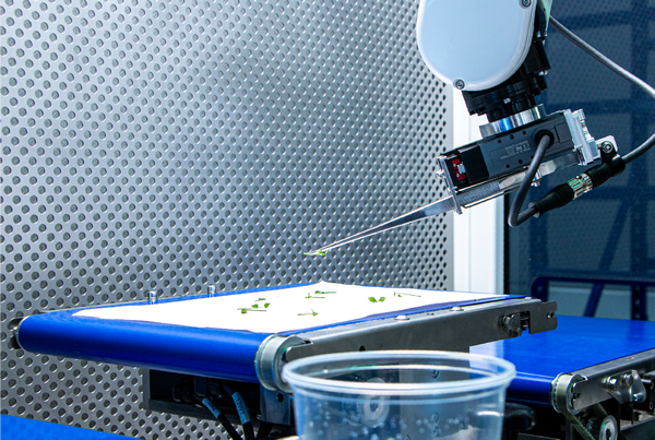 Tissue Culture Planter to be unveiled during GreenTech