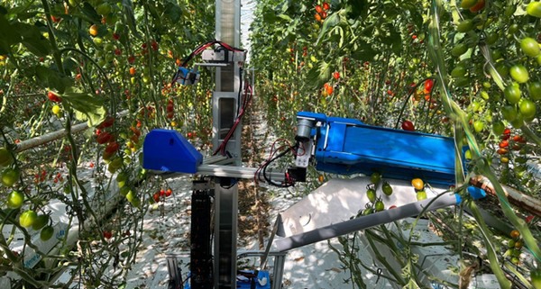 Newly updated harvesting robot runs 8 times faster than previous version