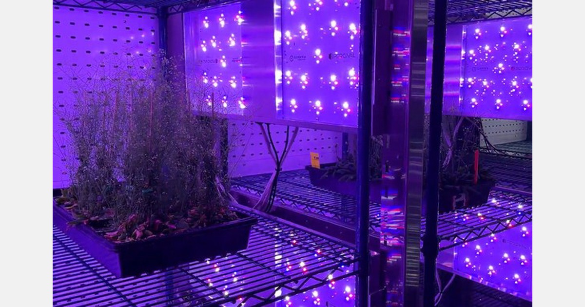 Climate-control technology future-proofs plants