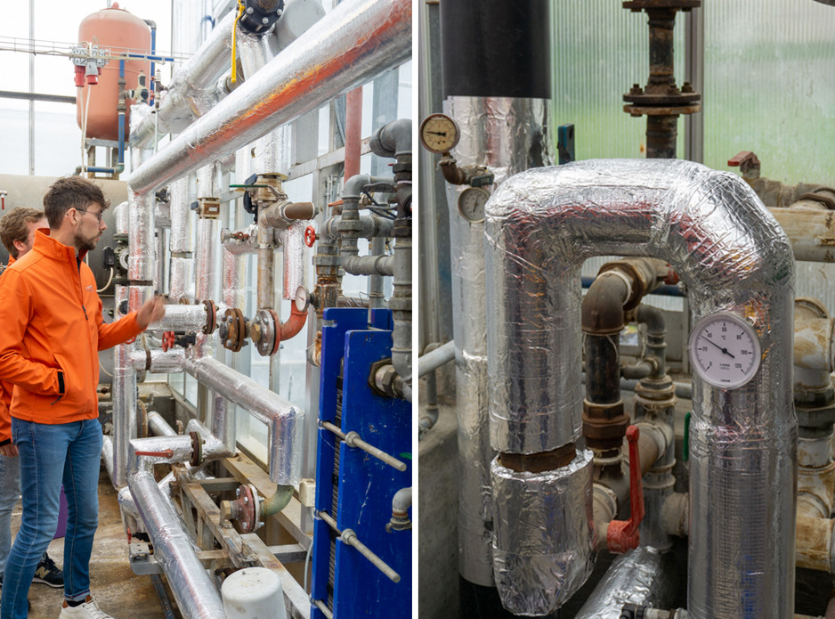 It's not just bananas in this Icelandic greenhouse