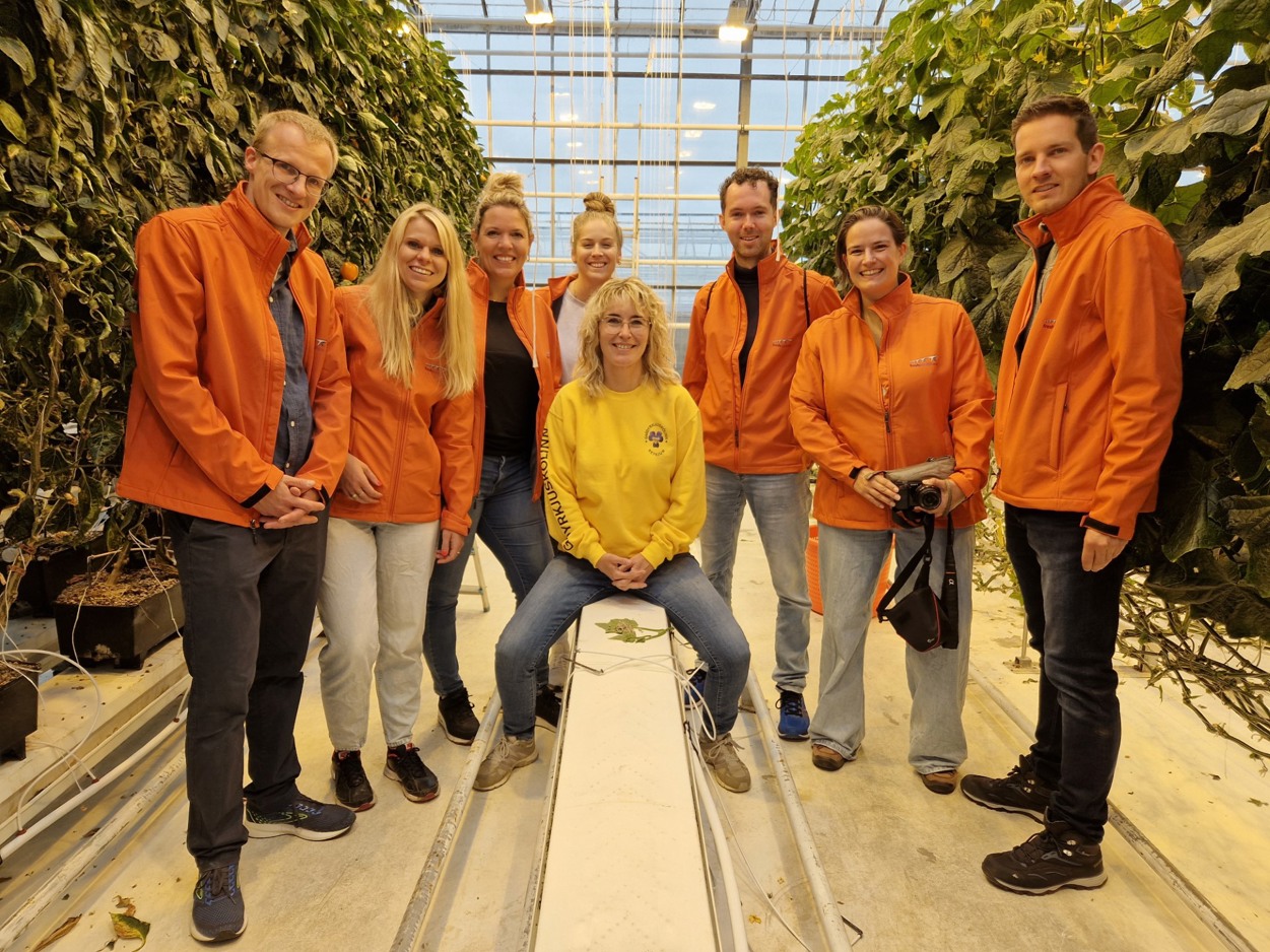 It's not just bananas in this Icelandic greenhouse