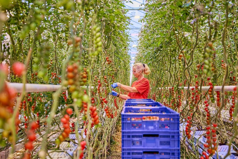 Grower in the Spotlight