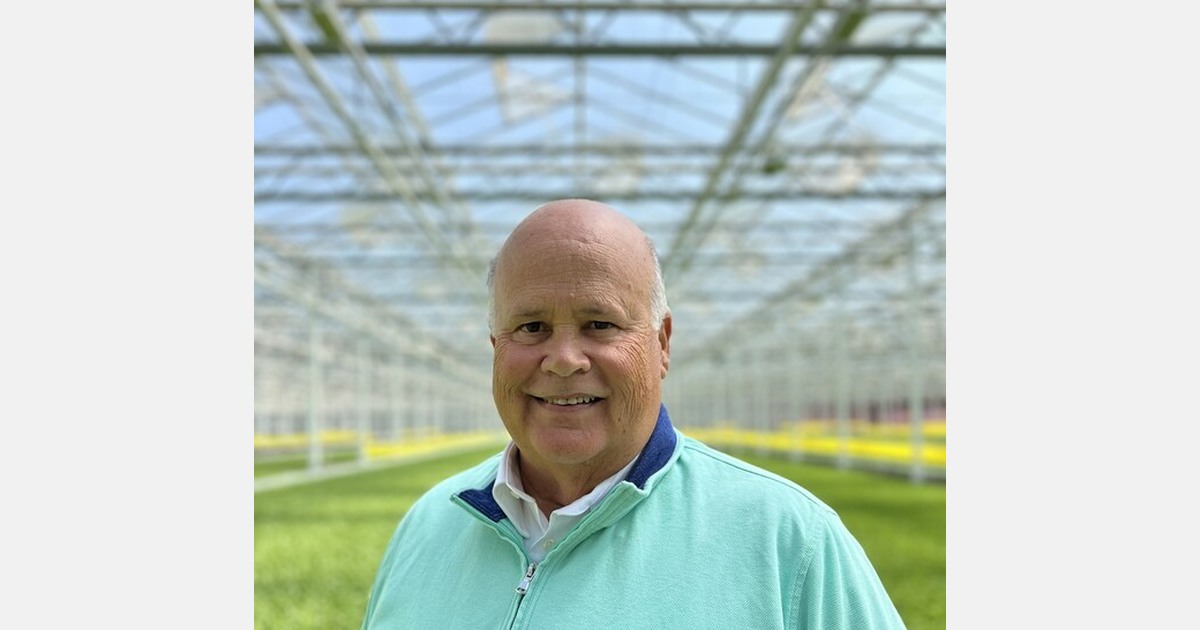 William Hogan appointed as Executive Vice President and CFO of Little ...