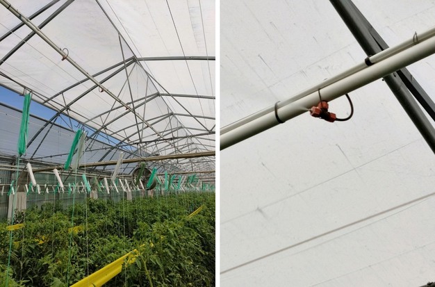 “Our low pressure misting system is making all the difference in the world”