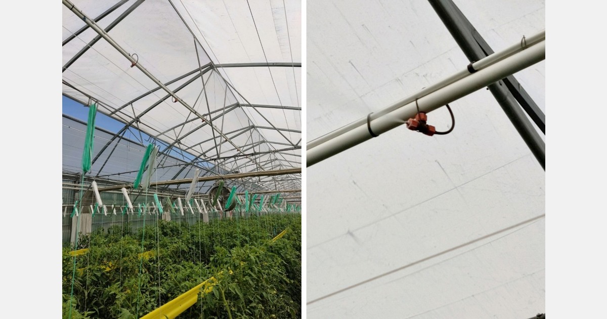 “Our low pressure misting system is making all the difference in the world”