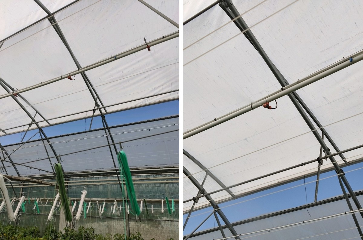 “Our low pressure misting system is making all the difference in the world”