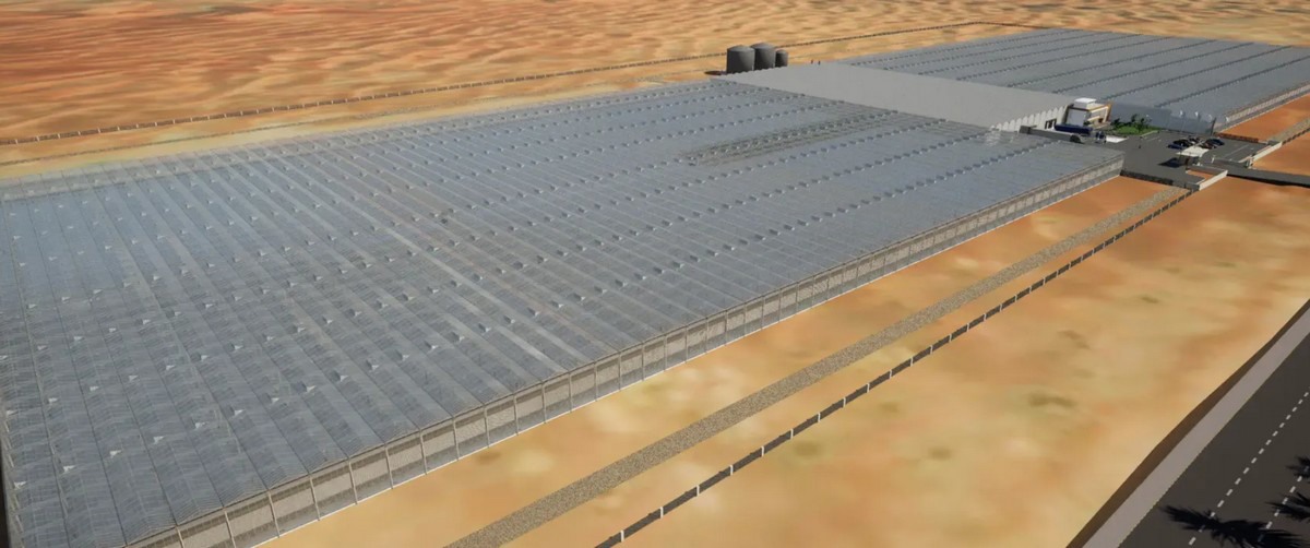 New greenhouse project to bolster the UAE's food resilience