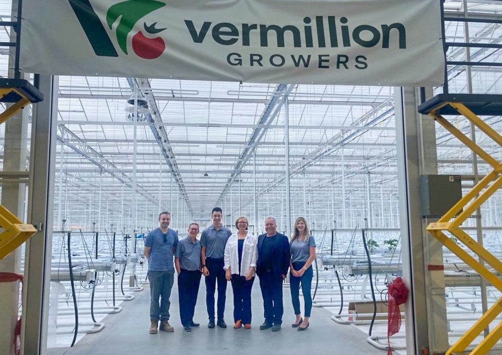 CAN: Vermillion Growers opens 10 acre tomato greenhouse