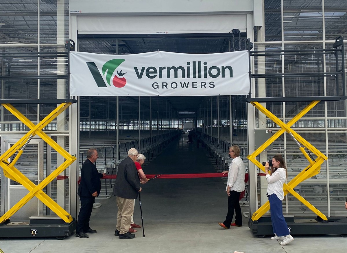 CAN: Vermillion Growers opens 10 acre tomato greenhouse