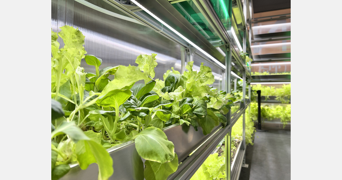 "Indoor ag has hit ‘a bump on the S curve,’ not the trough of ...