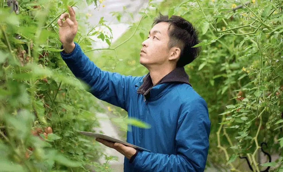 CAN (ON): University of Guelph launches master of agriculture program