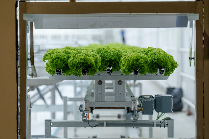 Denmark: Nordic Greens opens automonous greenhouse