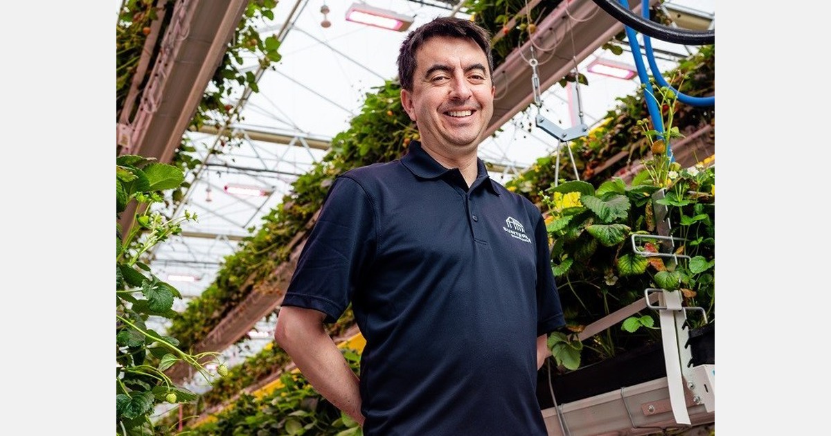 CAN (AB): Sunterra installs LEDs in new greenhouse