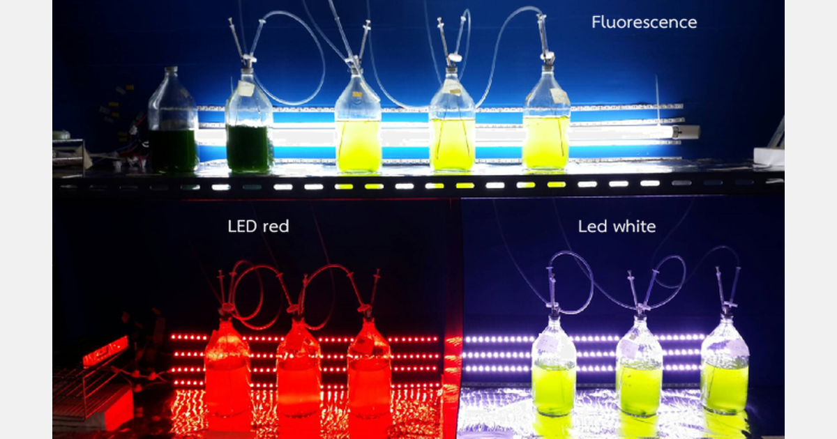 "We hope to solve every customer's planting problems, not just provide LEDs"