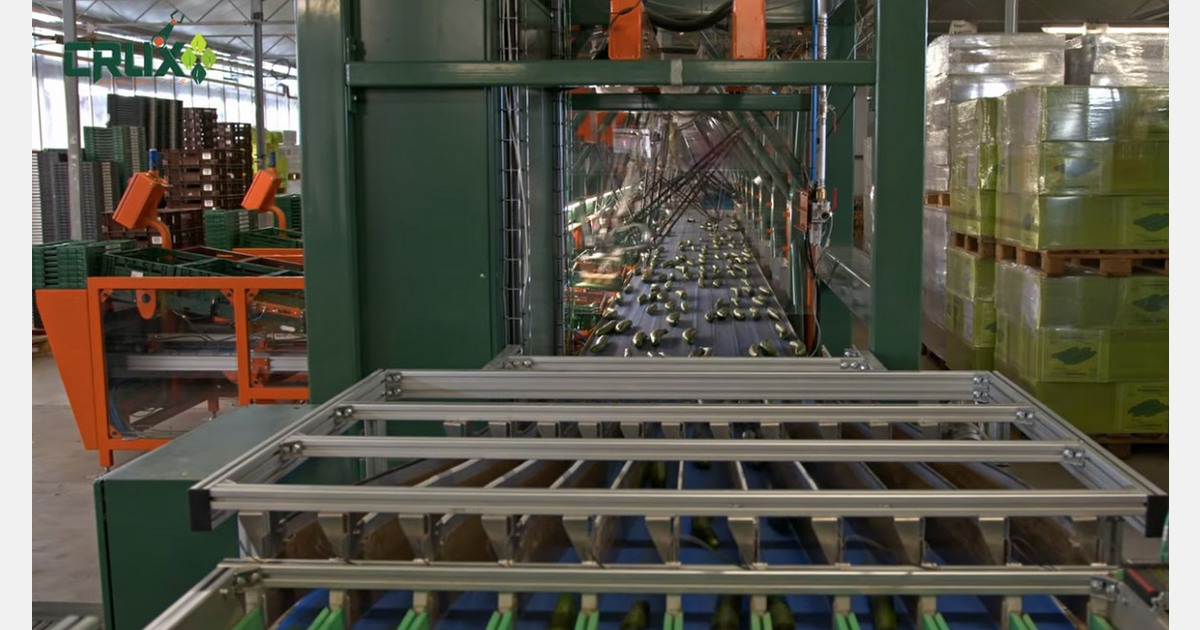 Cucumber robot line launches globally