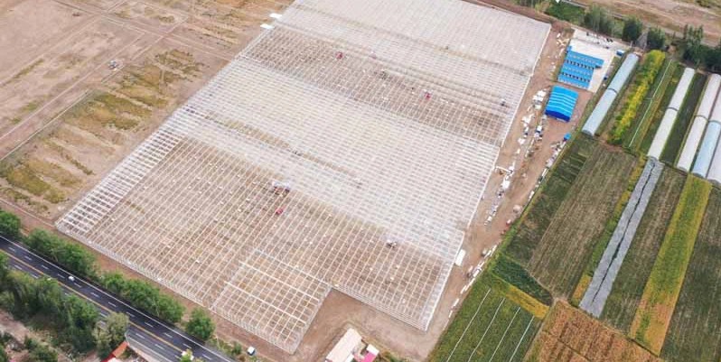 22-hectare greenhouse in Mongolia to be completed by the end of the year