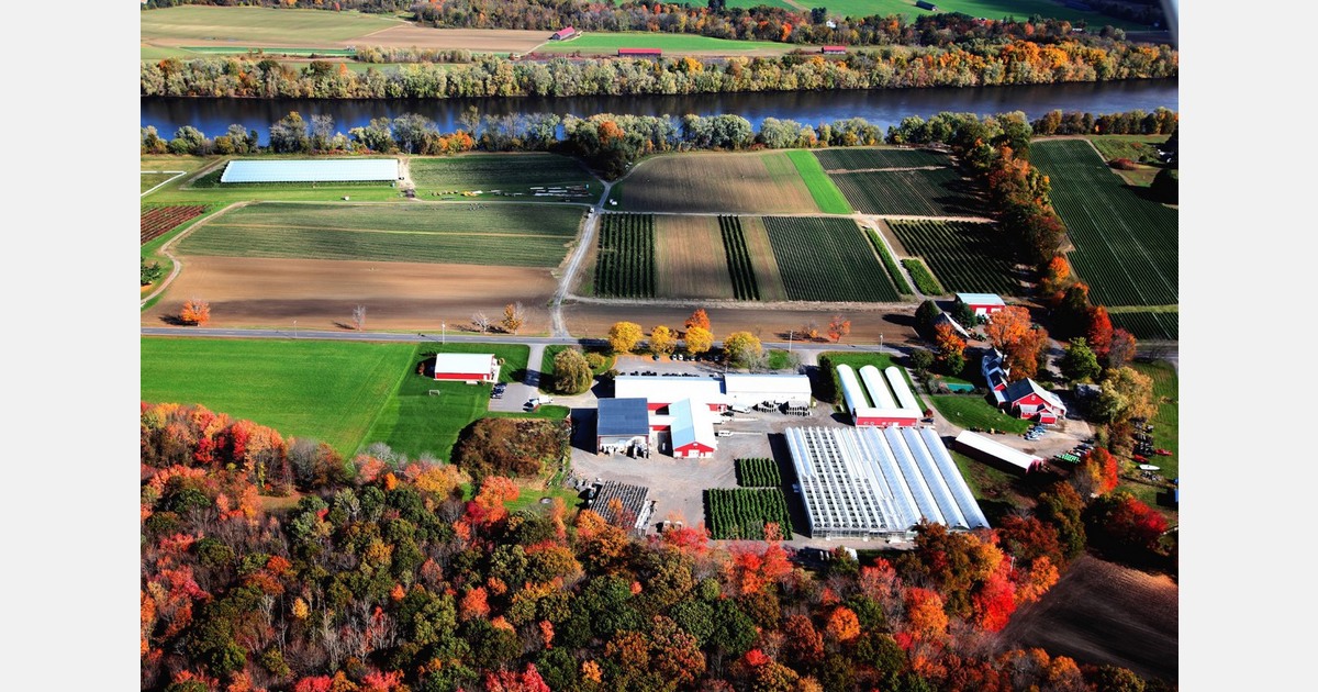 Nourse Farms to expand with tissue culture lab and 7-acre greenhouse