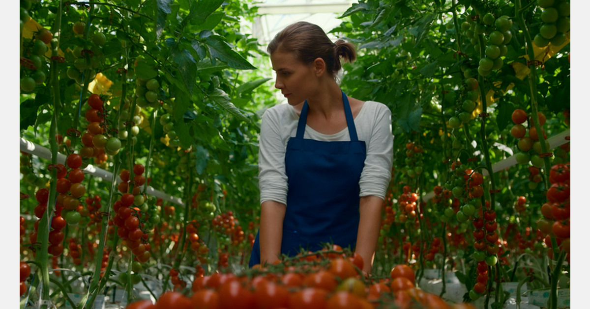 Two different ways to determine VPD